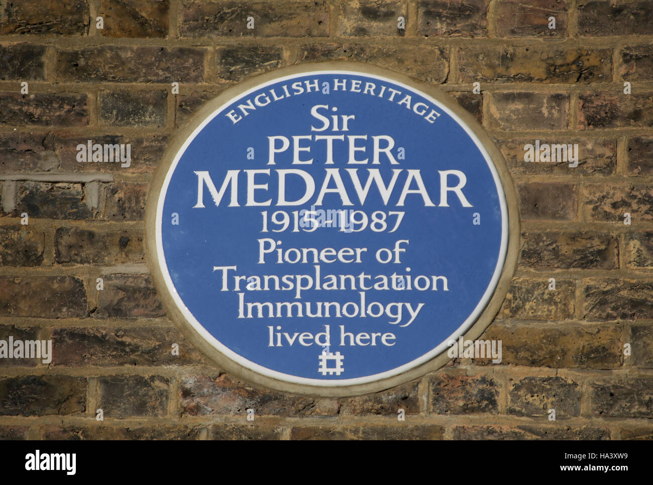 Sir peter medawar -Fotos und -Bildmaterial in hoher Auflösung – Alamy