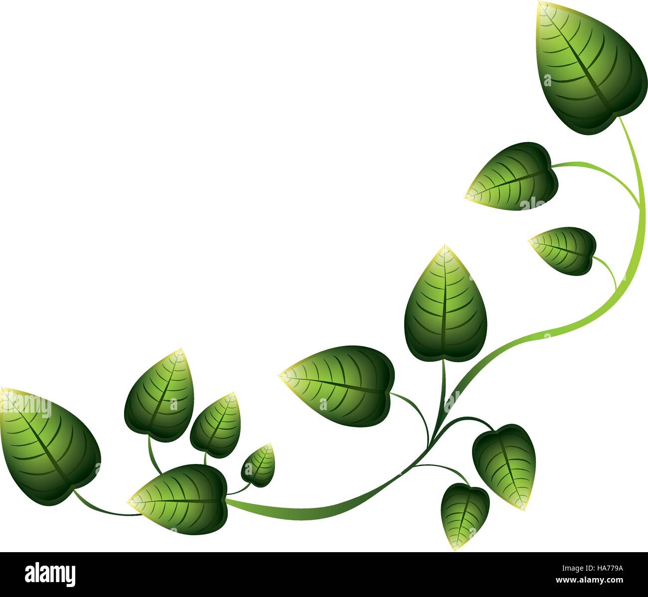 grüne Ranke mit mehreren verlässt Vektor-illustration Stock ...