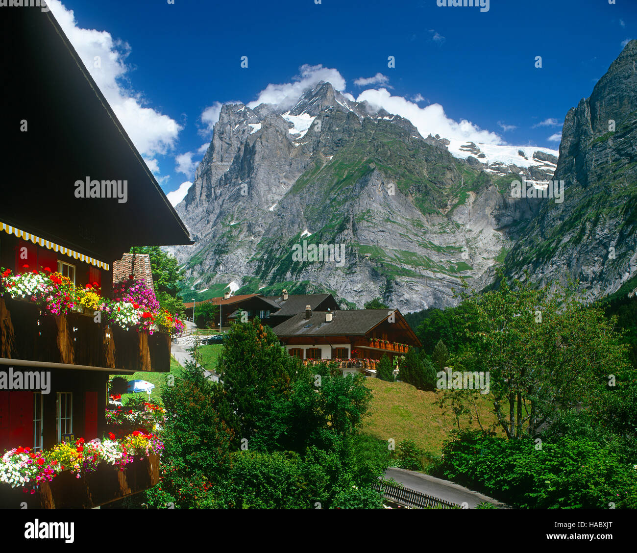 Wetterhorn und Chalet in Grindelwald, Berner Oberland, Schweiz Stockfotografie - Alamy