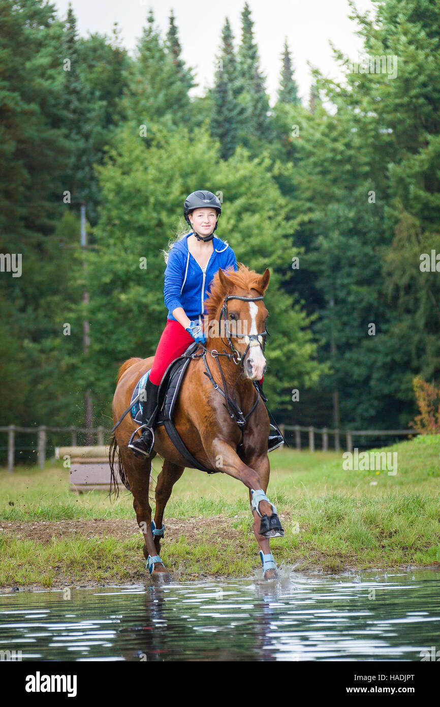 German riding pony girl on -Fotos und -Bildmaterial in hoher Auflösung ...