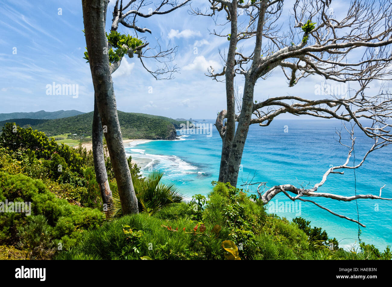 Lord howe insel marine park -Fotos und -Bildmaterial in hoher Auflösung ...