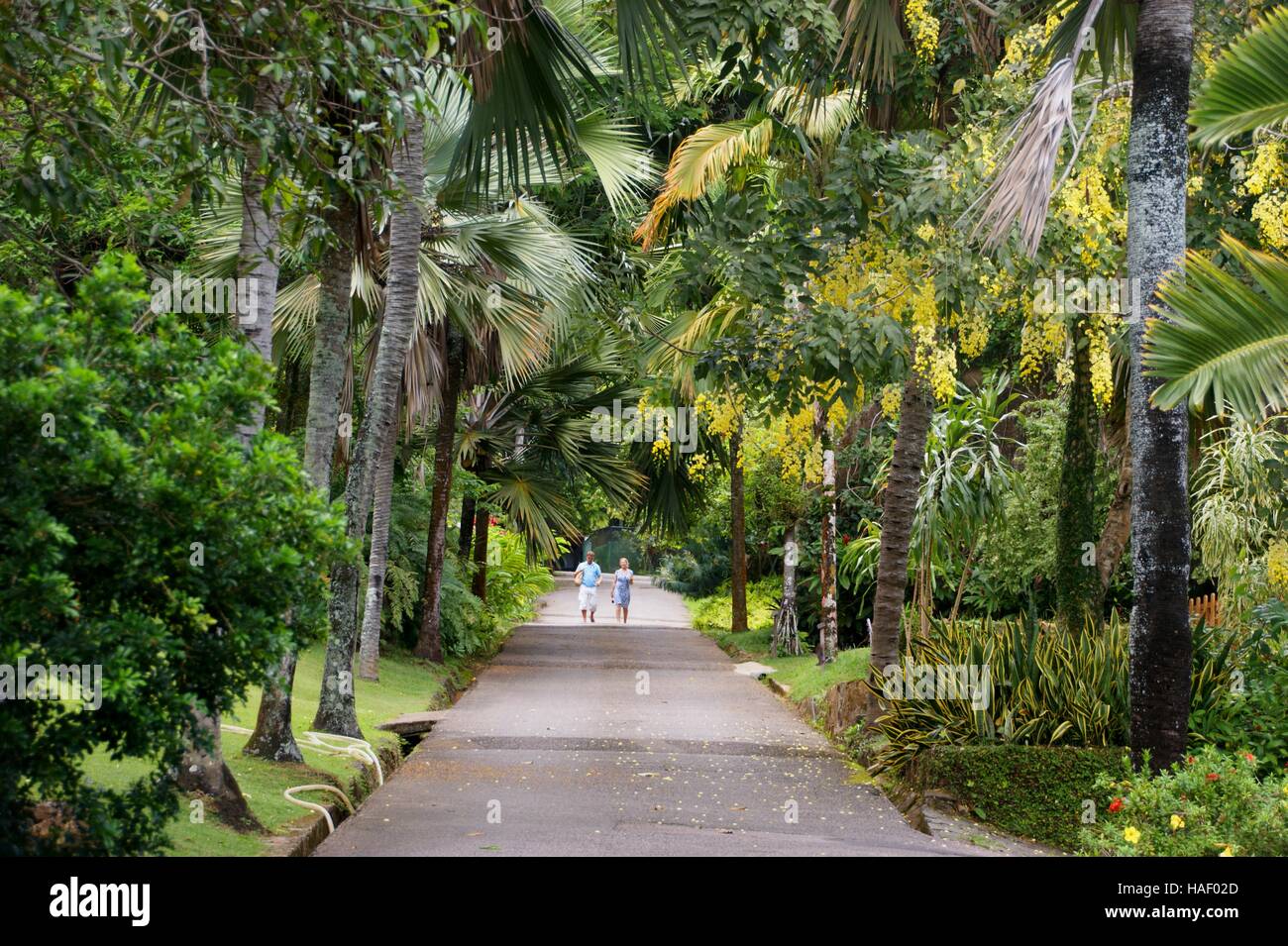 Victoria-Botanischer Garten. Mont Fleuri Botanischer Garten Seychellen ...