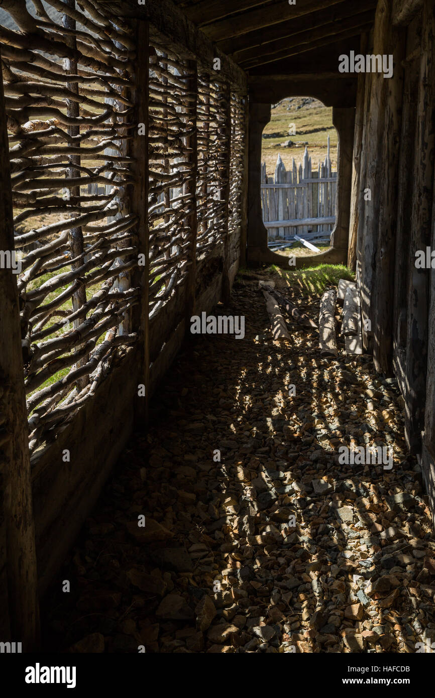 Reetgedeckte Wanddetail von innen, entlang der Seite des ein Replikat ...