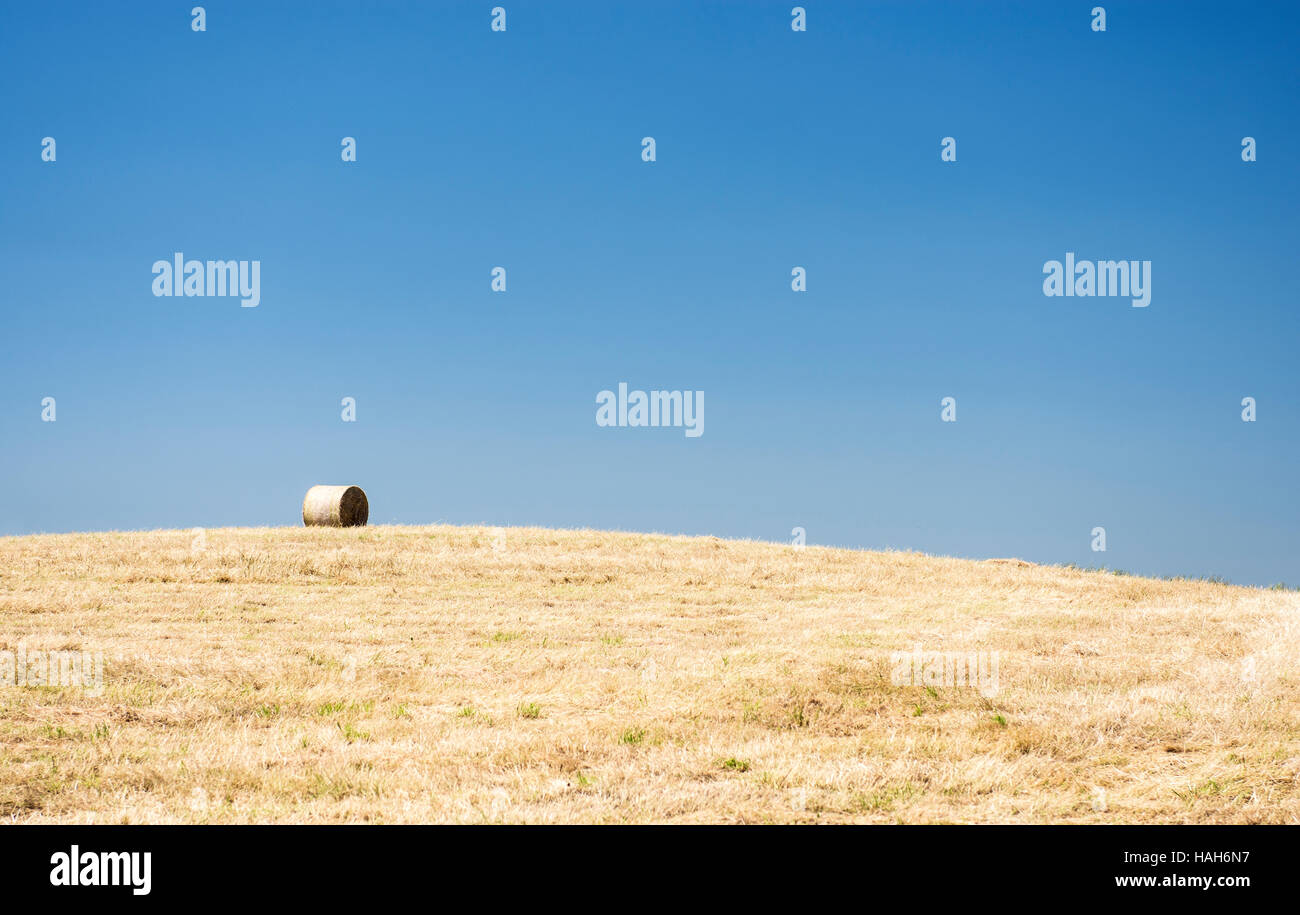 1 ein ballen -Fotos und -Bildmaterial in hoher Auflösung – Alamy