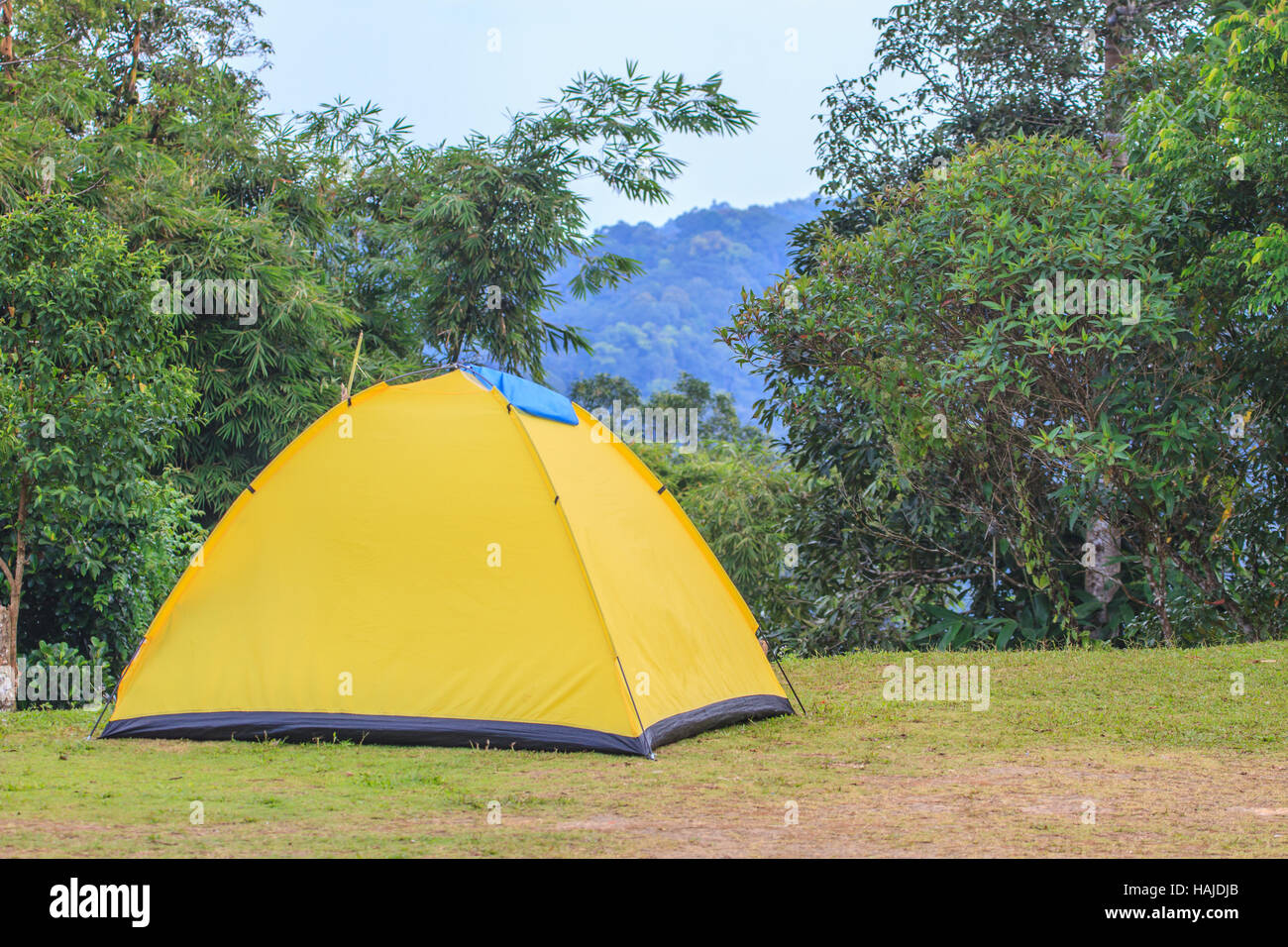 Camping in der Wildnis, Zelt am Campingplatz in Morgen Stockfotografie ...