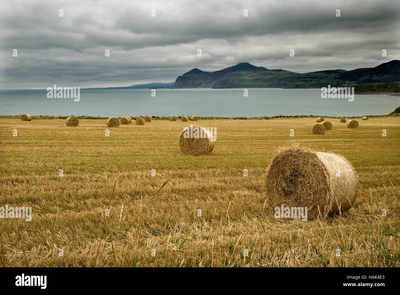 Heuernte in den bergen -Fotos und -Bildmaterial in hoher Auflösung – Alamy