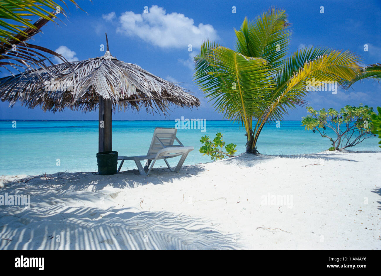 Grünen Palmen, blauer Himmel, türkisfarbenes Meer, weißer Sandstrand ...
