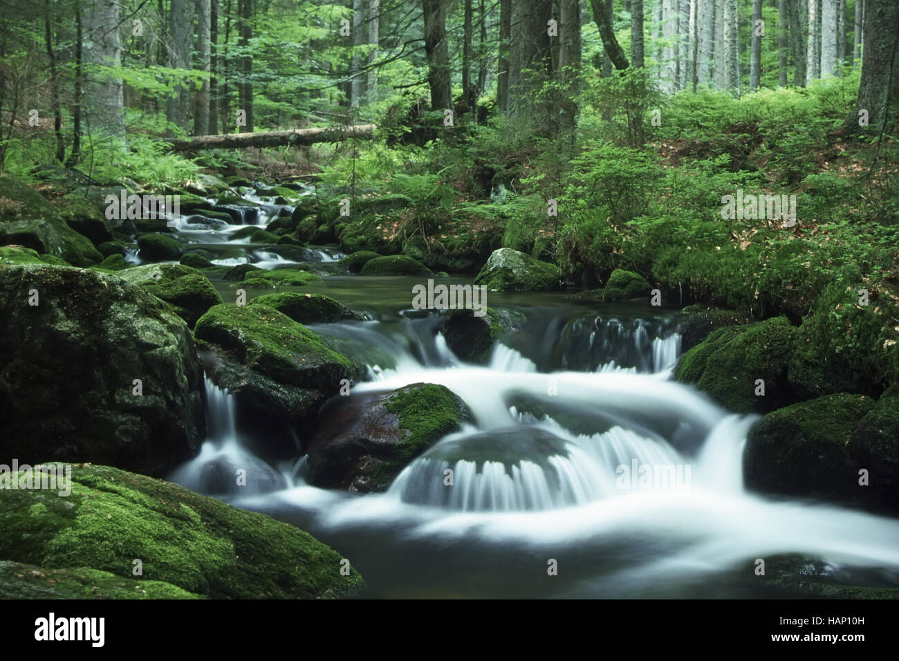 Wildbach im hochland -Fotos und -Bildmaterial in hoher Auflösung – Alamy