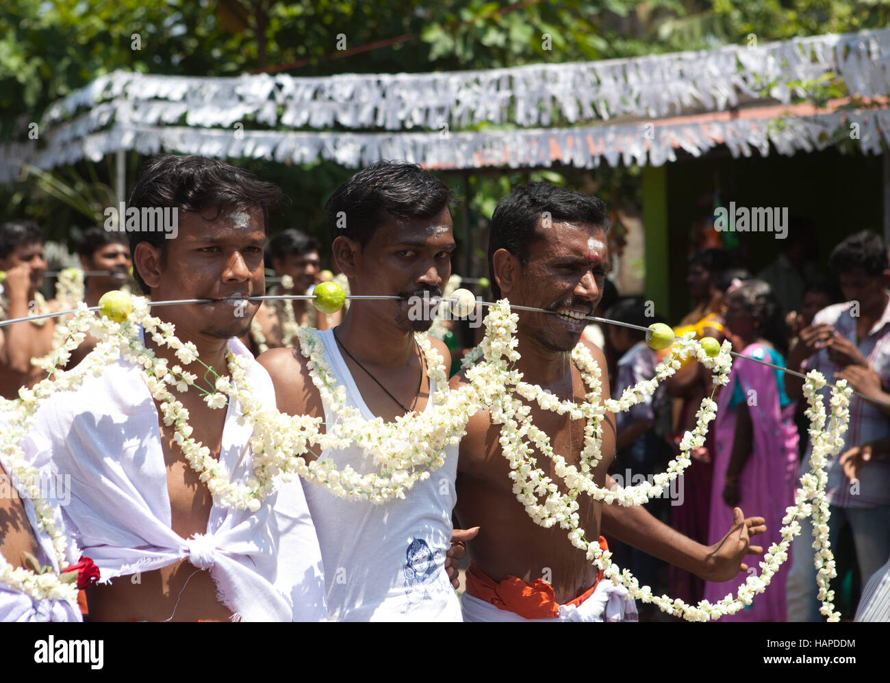 Festival kavady -Fotos und -Bildmaterial in hoher Auflösung – Alamy