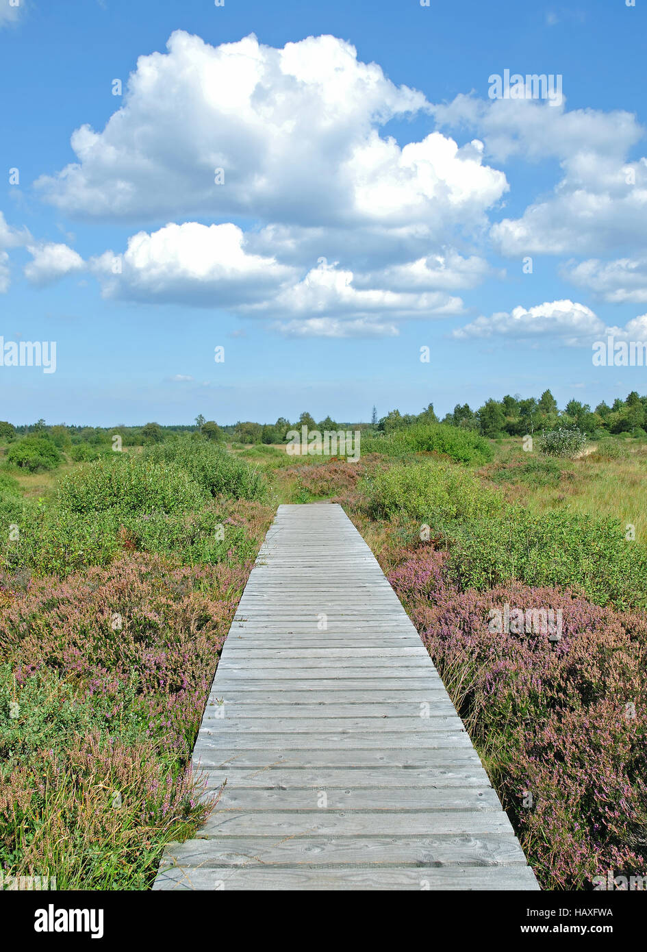 Eifel region deutschland -Fotos und -Bildmaterial in hoher Auflösung ...