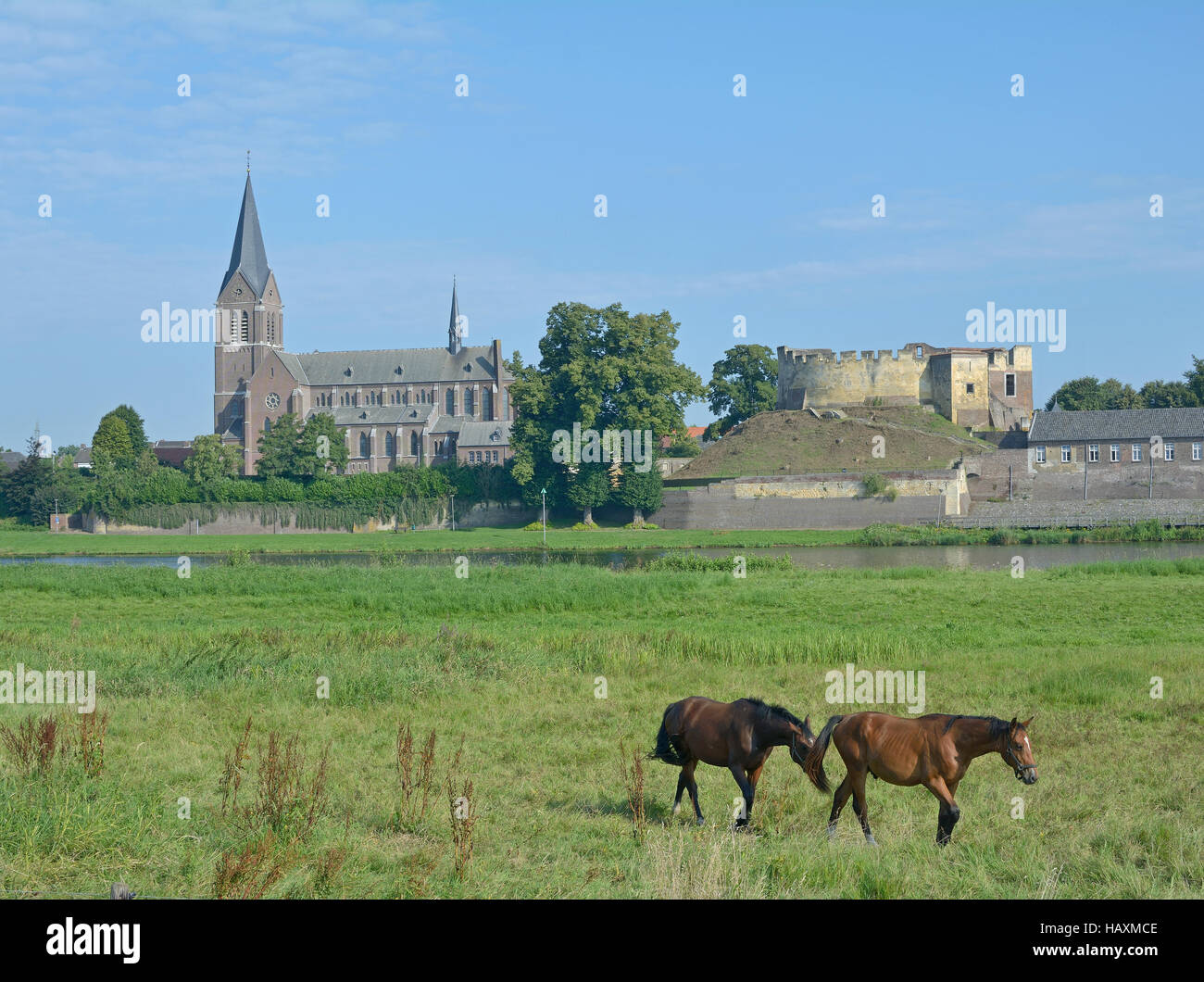 Kessel, Fluss Maas, Niederlande Stockfotografie - Alamy