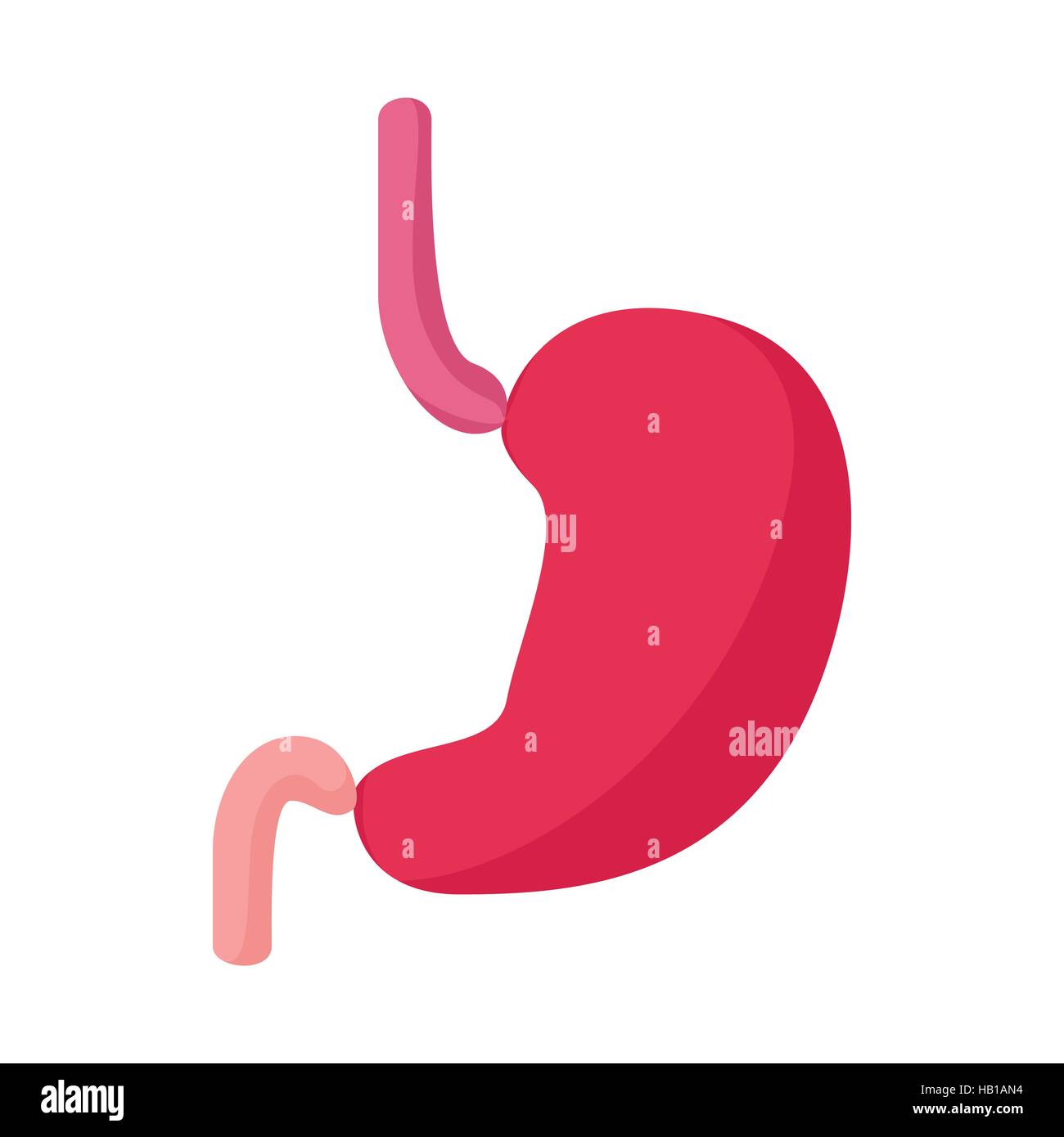Magen cartoon -Fotos und -Bildmaterial in hoher Auflösung – Alamy