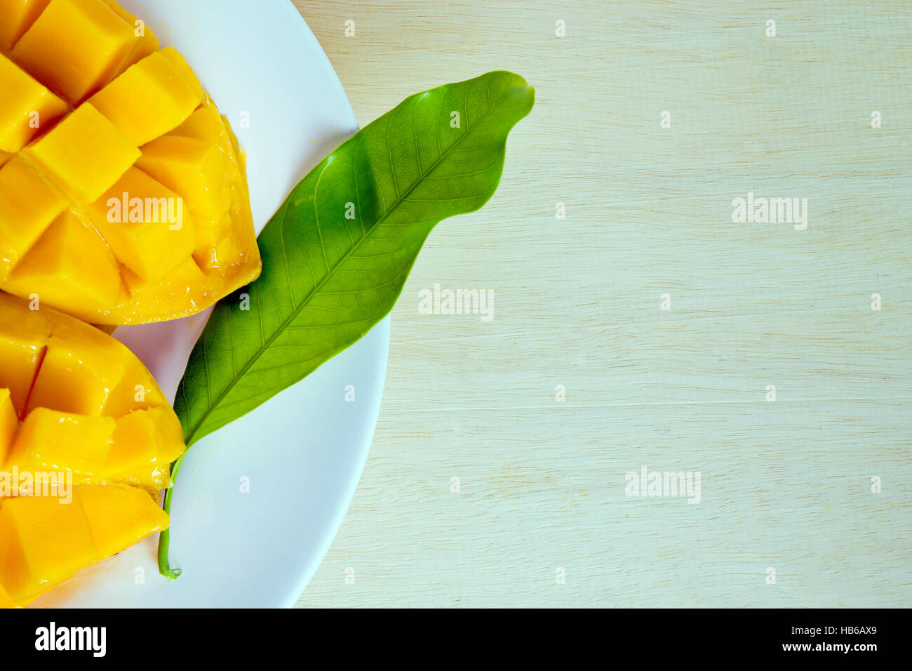 Mangifera sp -Fotos und -Bildmaterial in hoher Auflösung – Alamy