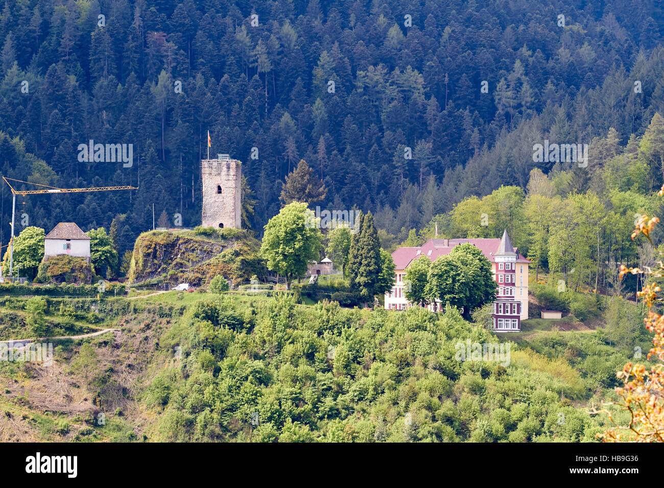 Schloss hornberg -Fotos und -Bildmaterial in hoher Auflösung – Alamy
