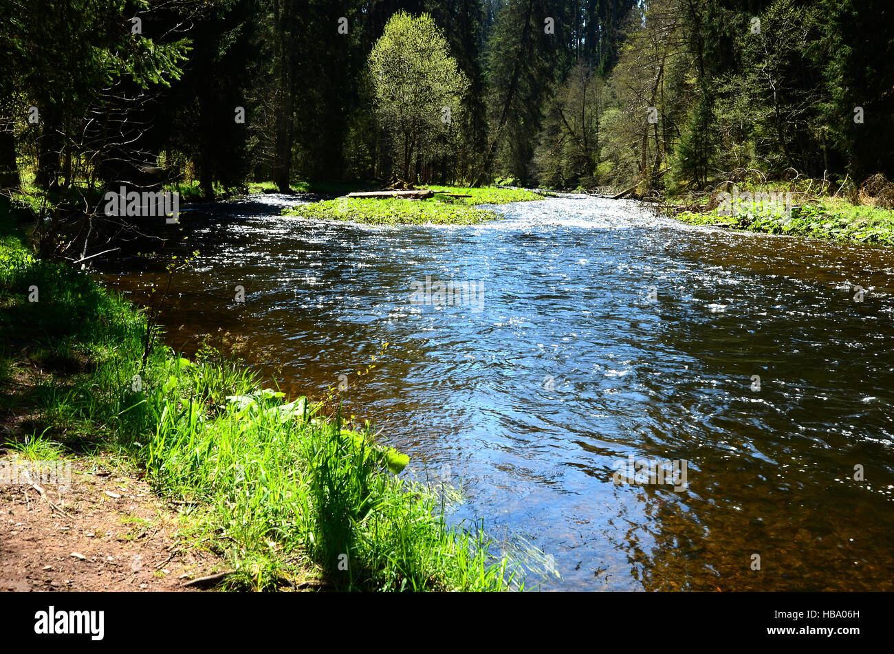 Wald mit fluss -Fotos und -Bildmaterial in hoher Auflösung – Alamy