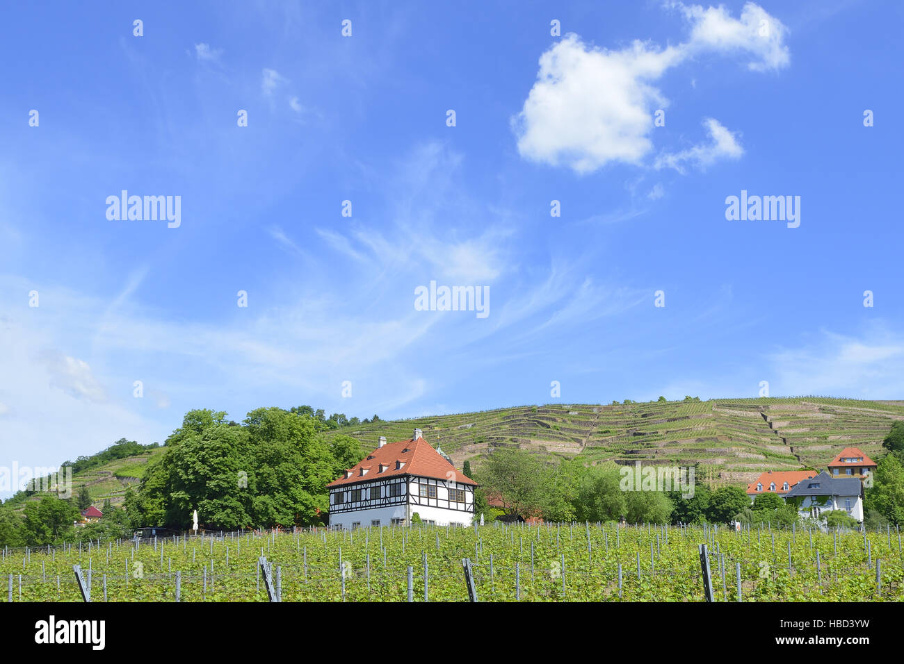 Weinberg spitzhaus -Fotos und -Bildmaterial in hoher Auflösung – Alamy