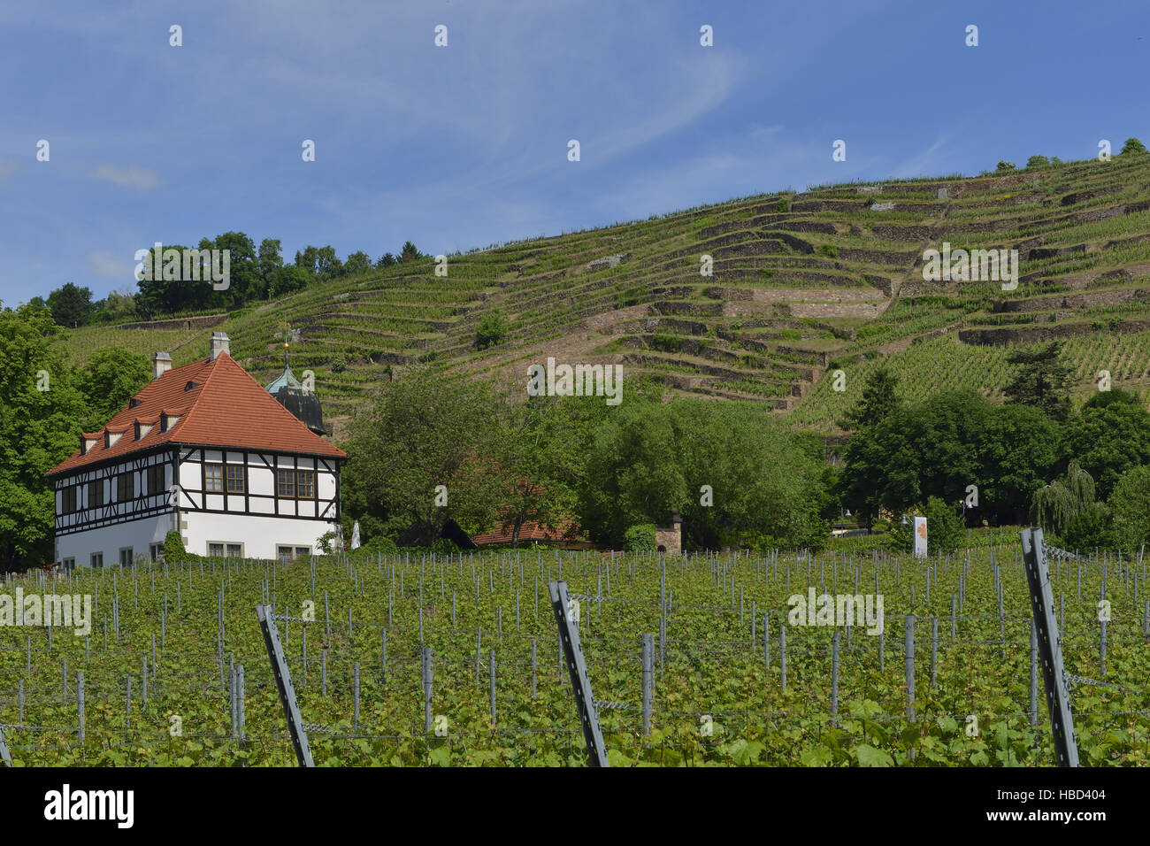 Weinberg spitzhaus -Fotos und -Bildmaterial in hoher Auflösung – Alamy