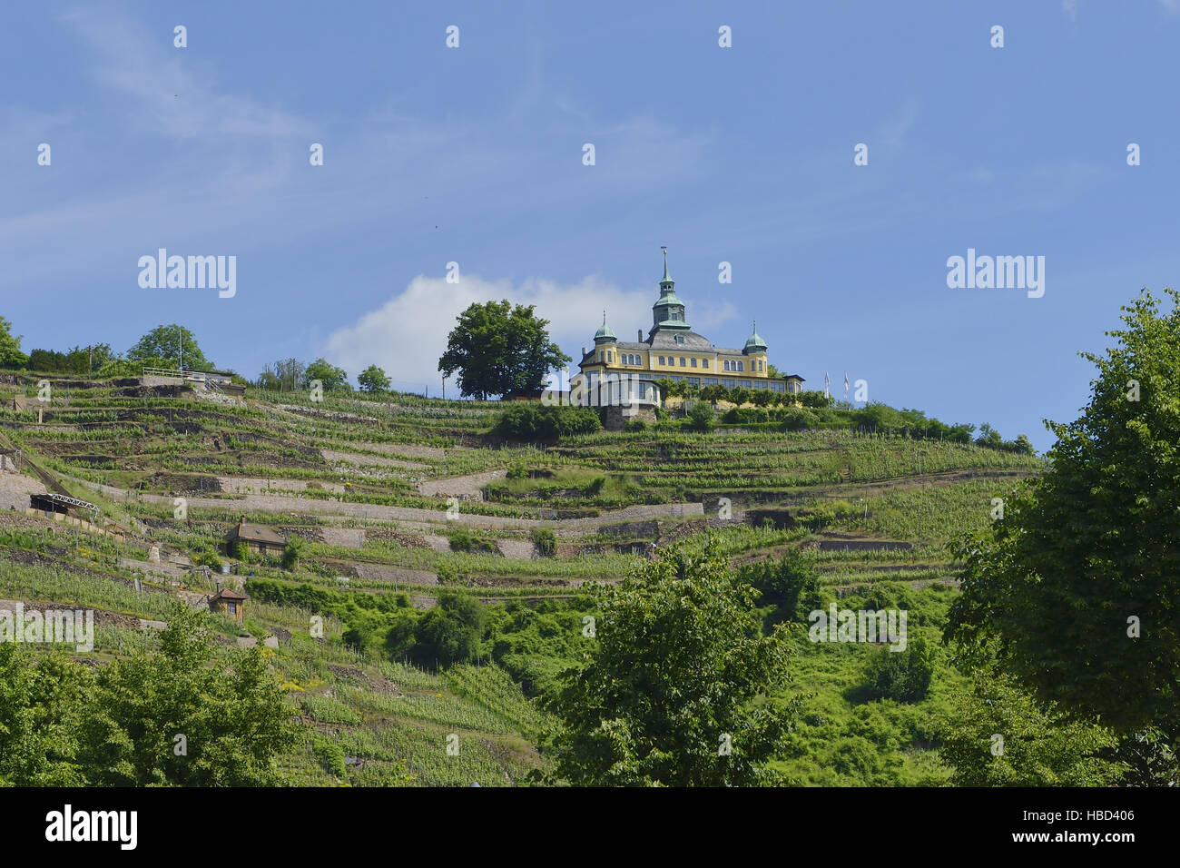 Weinberg spitzhaus -Fotos und -Bildmaterial in hoher Auflösung – Alamy