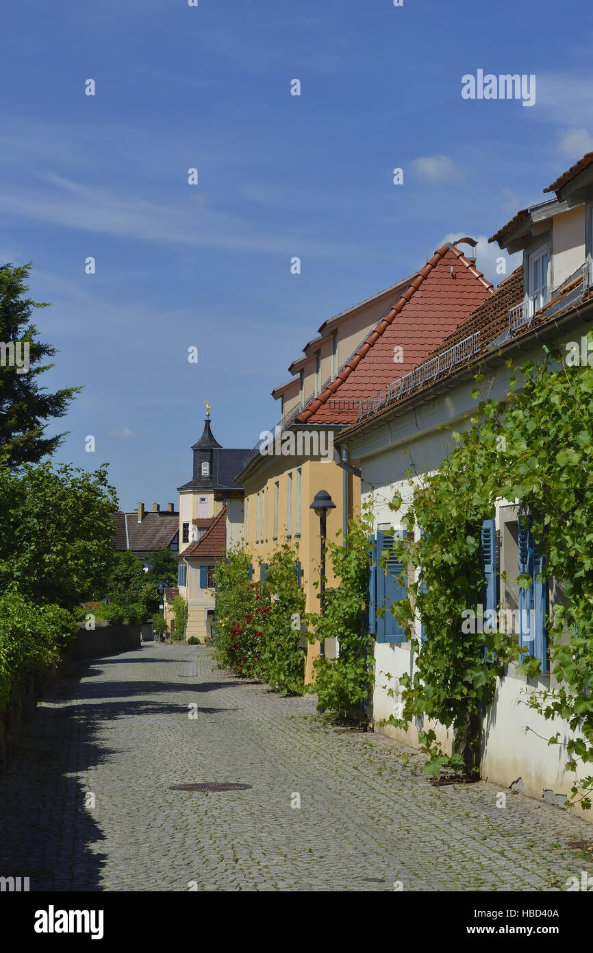 Weinberg spitzhaus -Fotos und -Bildmaterial in hoher Auflösung – Alamy