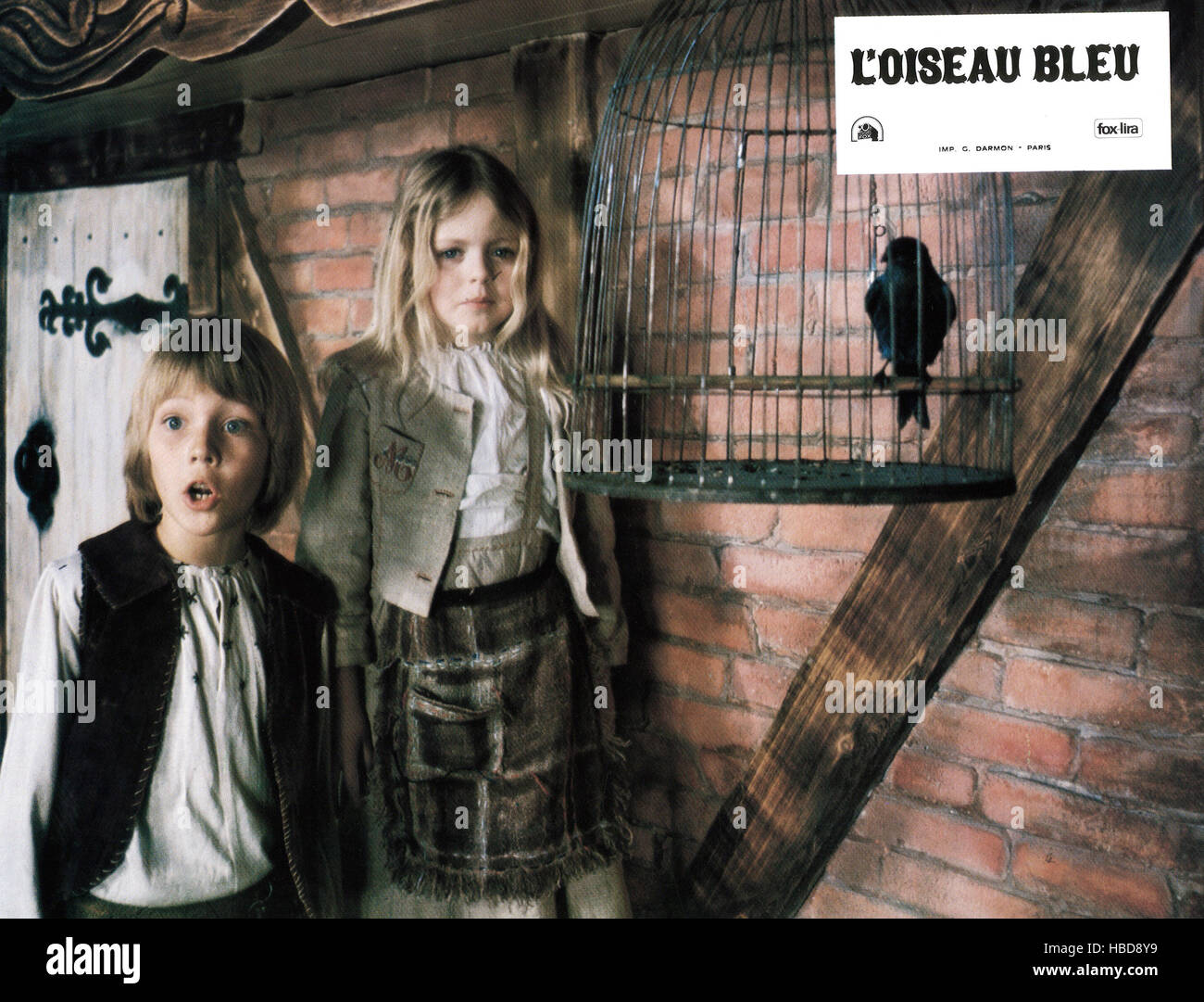 DER blaue Vogel (aka l ' Oiseau BLEU), von links: Todd Lookinland ...