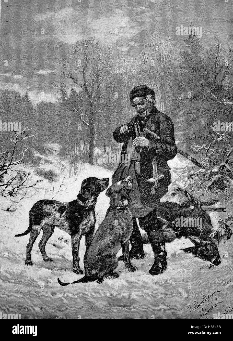 Die jagdhunde -Fotos und -Bildmaterial in hoher Auflösung – Alamy