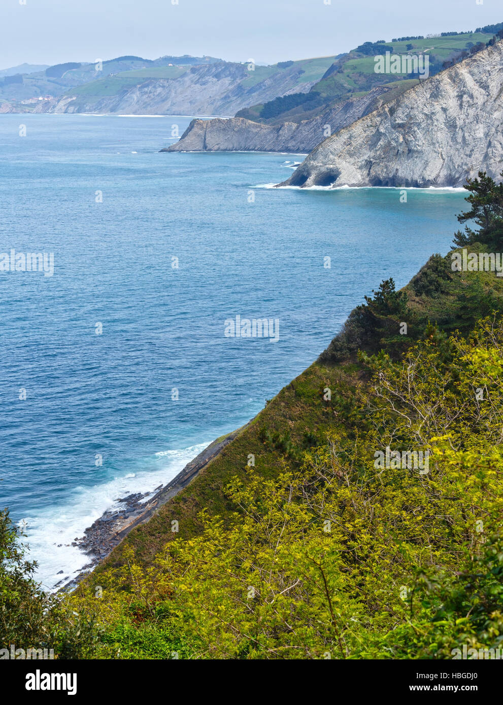 Biskaya baum Stockfotos und -bilder Kaufen - Alamy