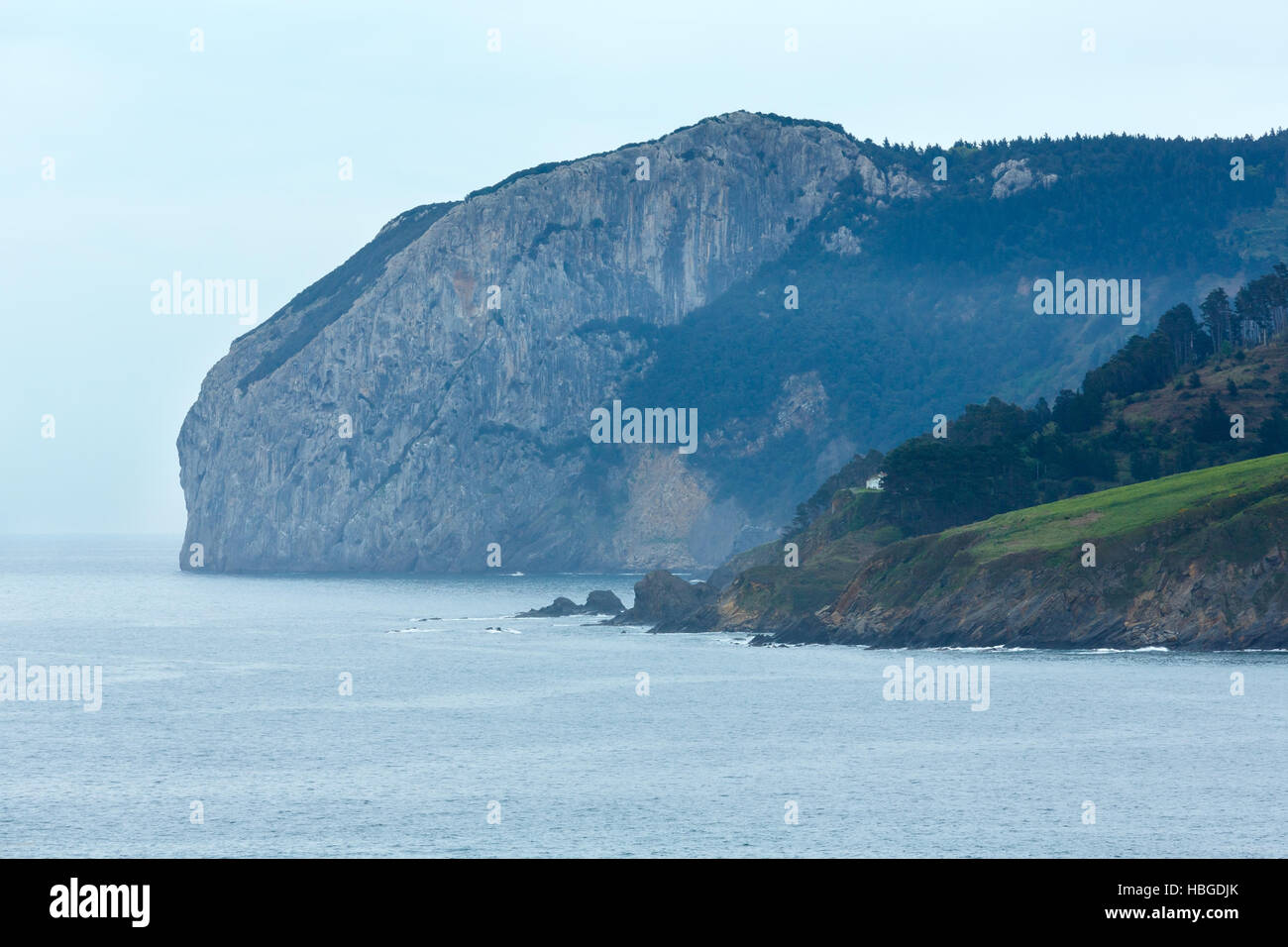 Biskaya baum Stockfotos und -bilder Kaufen - Alamy