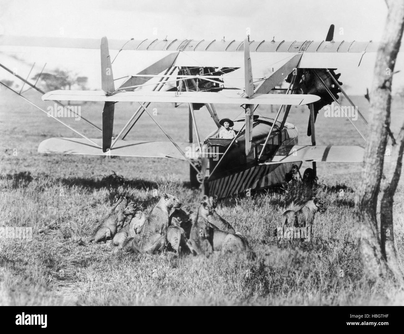 BABOONA, Osa Johnson, 1935, TM und Copyright © Fox Film Corp. Alle ...
