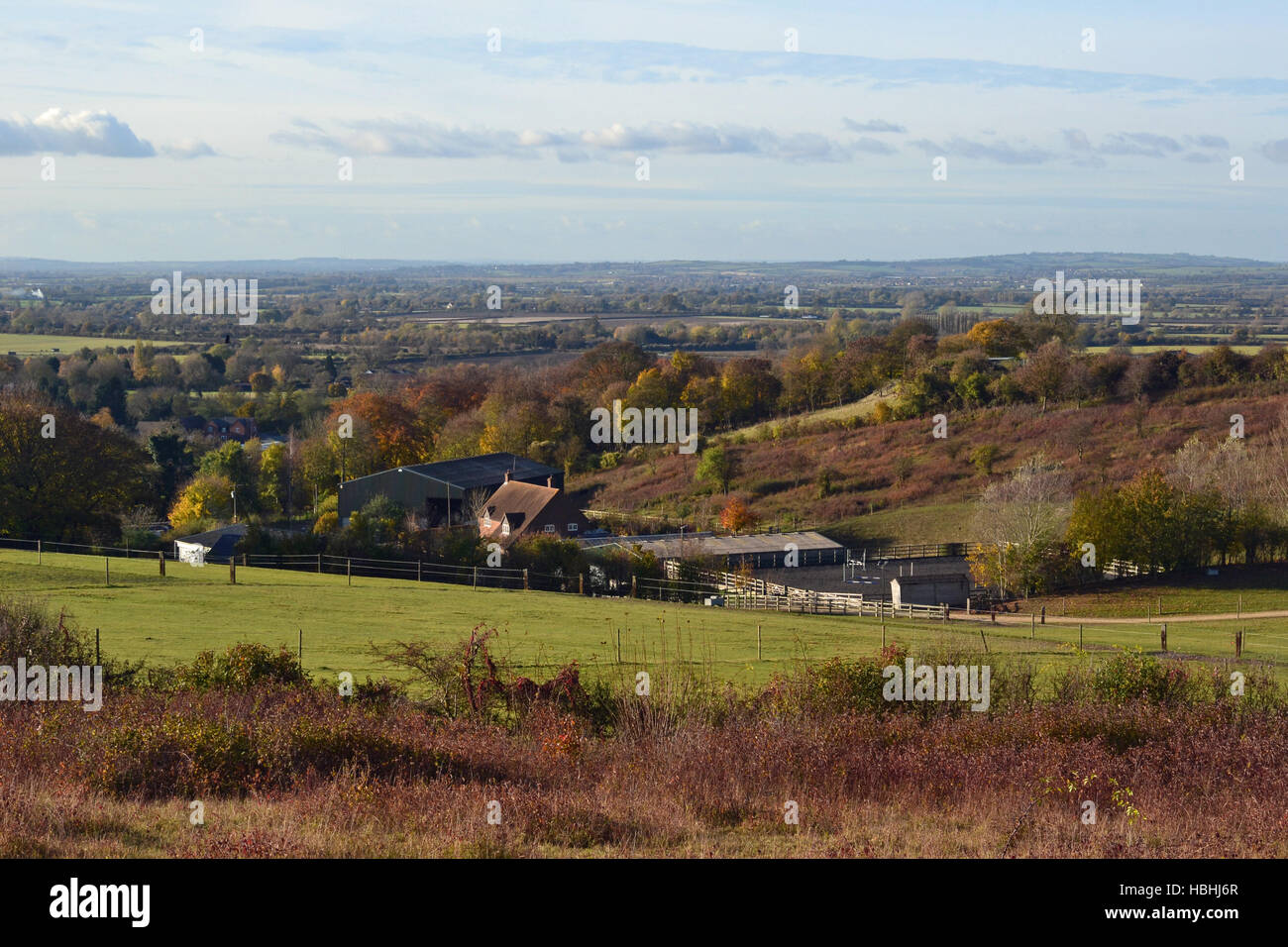 Old rifle -Fotos und -Bildmaterial in hoher Auflösung – Alamy