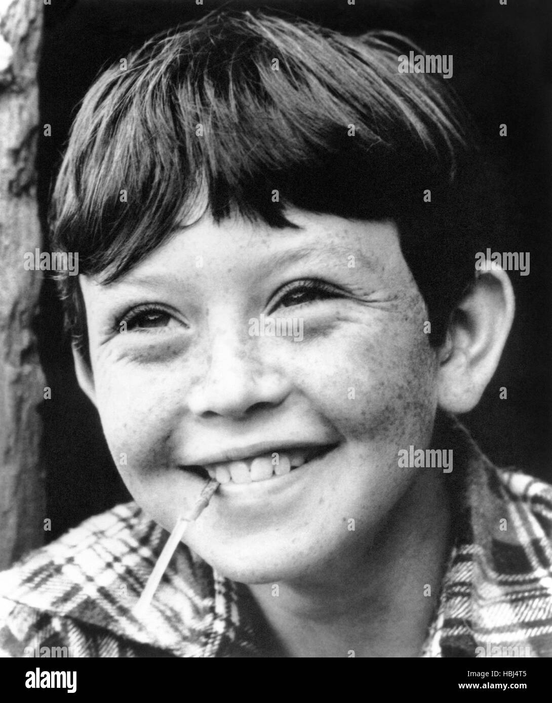 Kelly reno -Fotos und -Bildmaterial in hoher Auflösung – Alamy