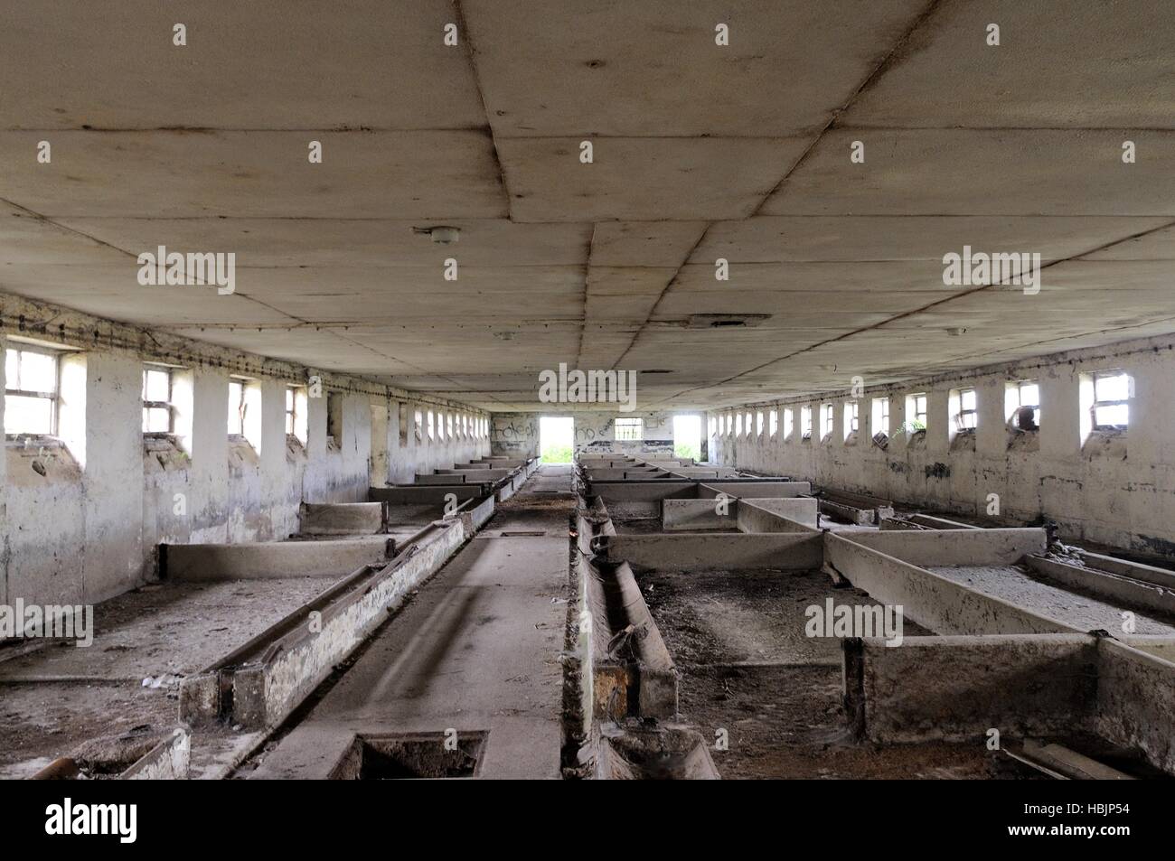 Ddr ehemals -Fotos und -Bildmaterial in hoher Auflösung – Alamy