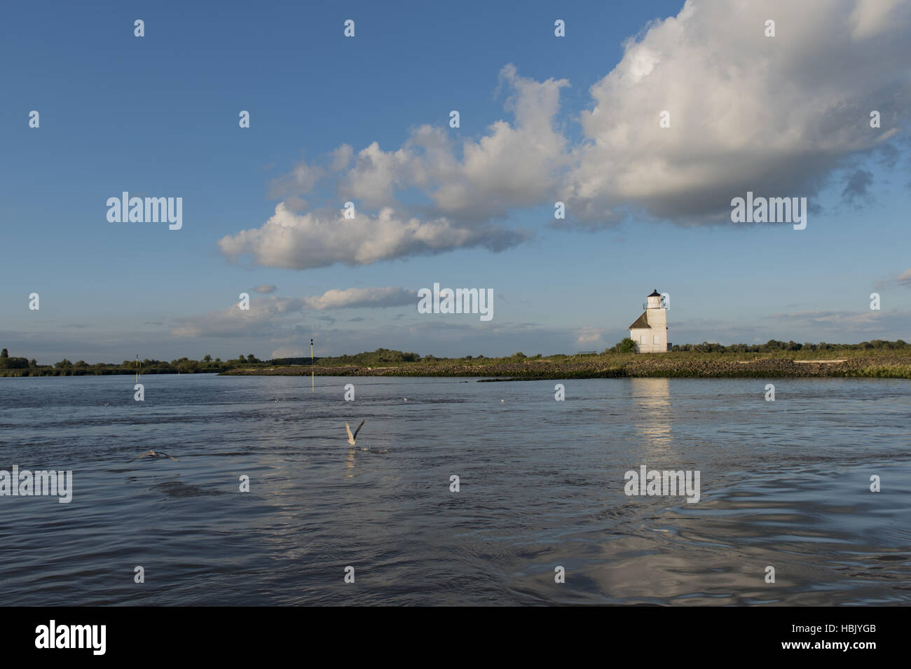 Sheep river elbe -Fotos und -Bildmaterial in hoher Auflösung – Alamy