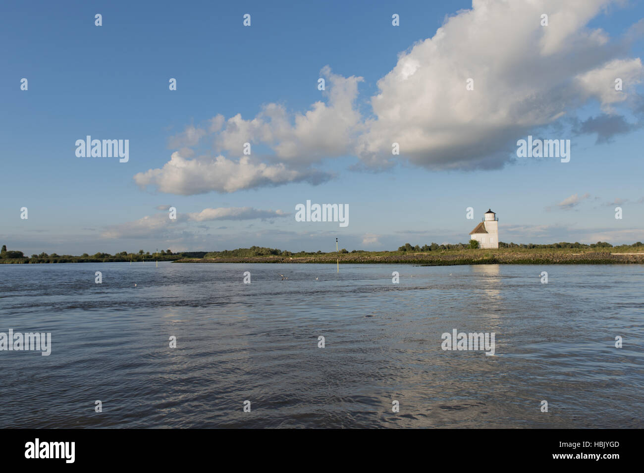 Sheep river elbe -Fotos und -Bildmaterial in hoher Auflösung – Alamy