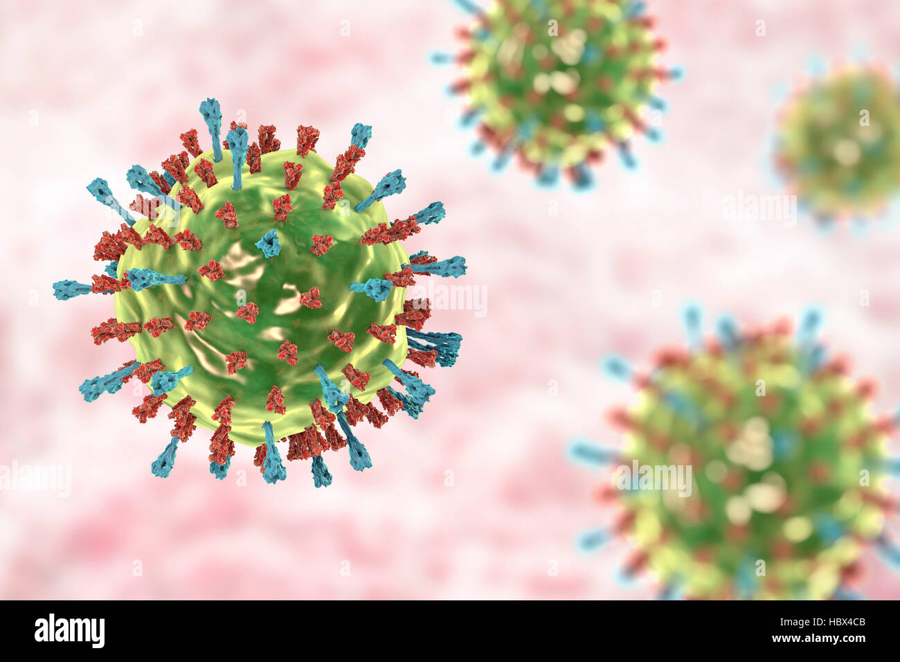 Mumps-Virus, Computer Bild. Ein Mumps-Virus-Partikel enthält ...