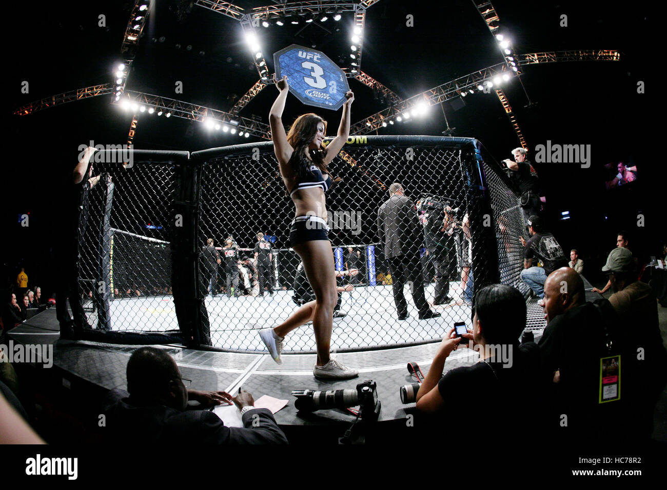 Ufc ring girl arianny celeste -Fotos und -Bildmaterial in hoher ...
