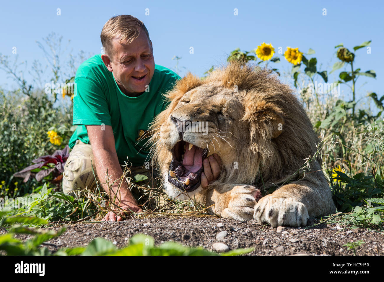 Menschlicher kontakt -Fotos und -Bildmaterial in hoher Auflösung – Alamy