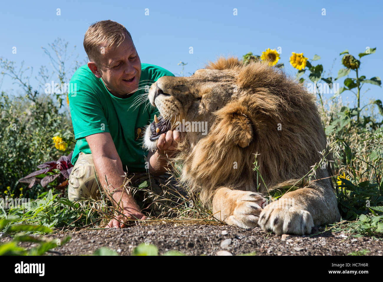 Menschlicher kontakt -Fotos und -Bildmaterial in hoher Auflösung – Alamy