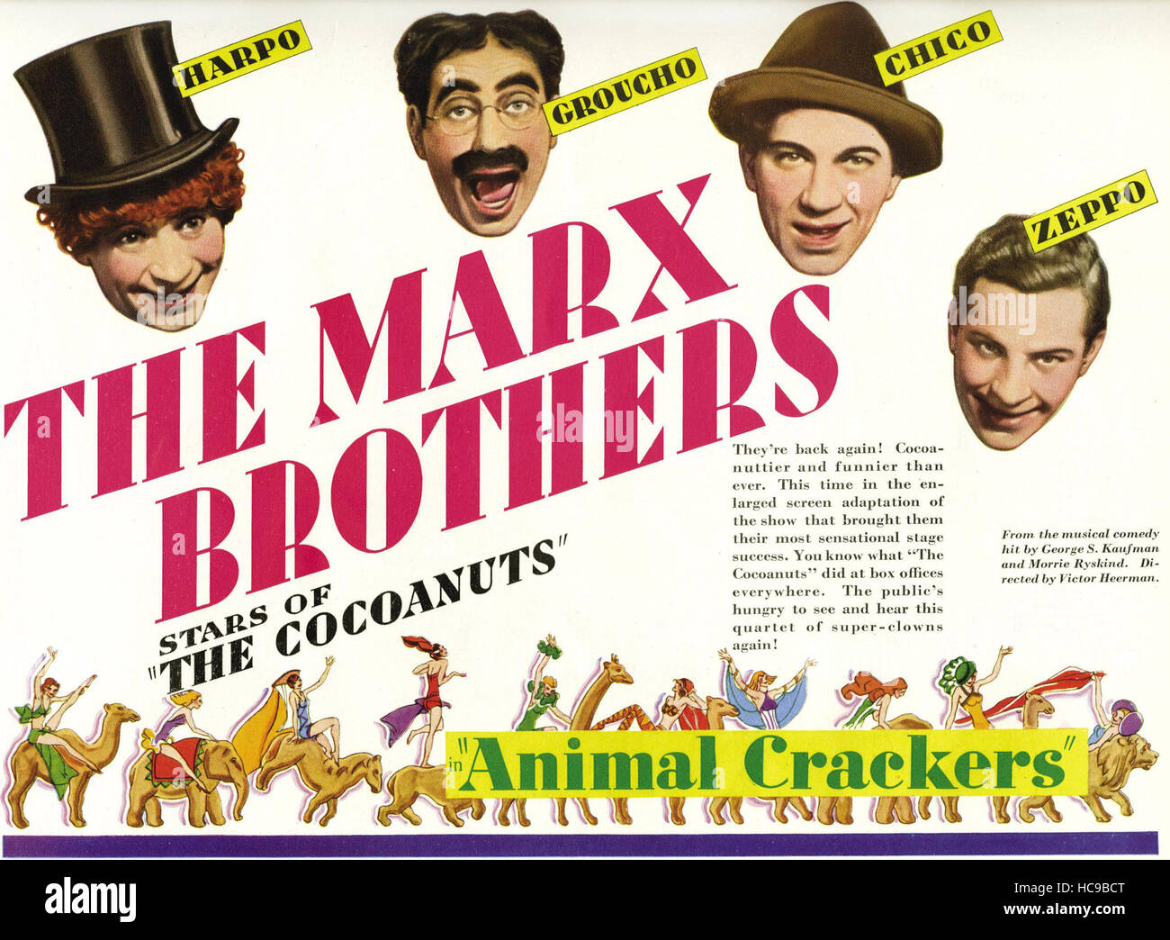 ANIMAL CRACKERS, die Marx Brothers-Top l-r: Harpo Marx, Groucho Marx ...