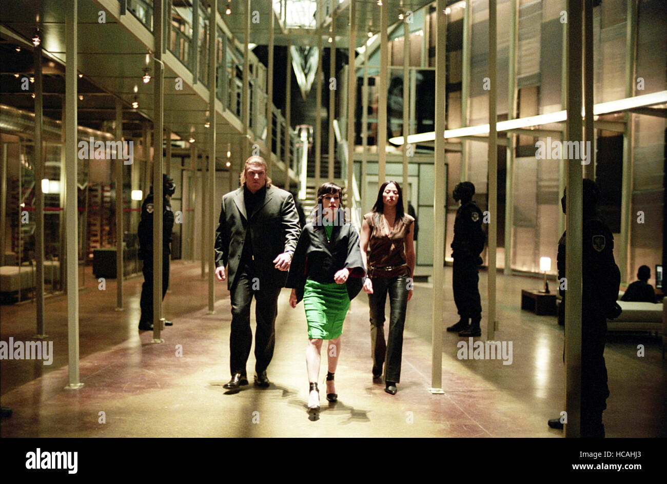 BLADE: TRINITY, Levesque (aka Triple H), Parker Posey, Francoise Yip ...
