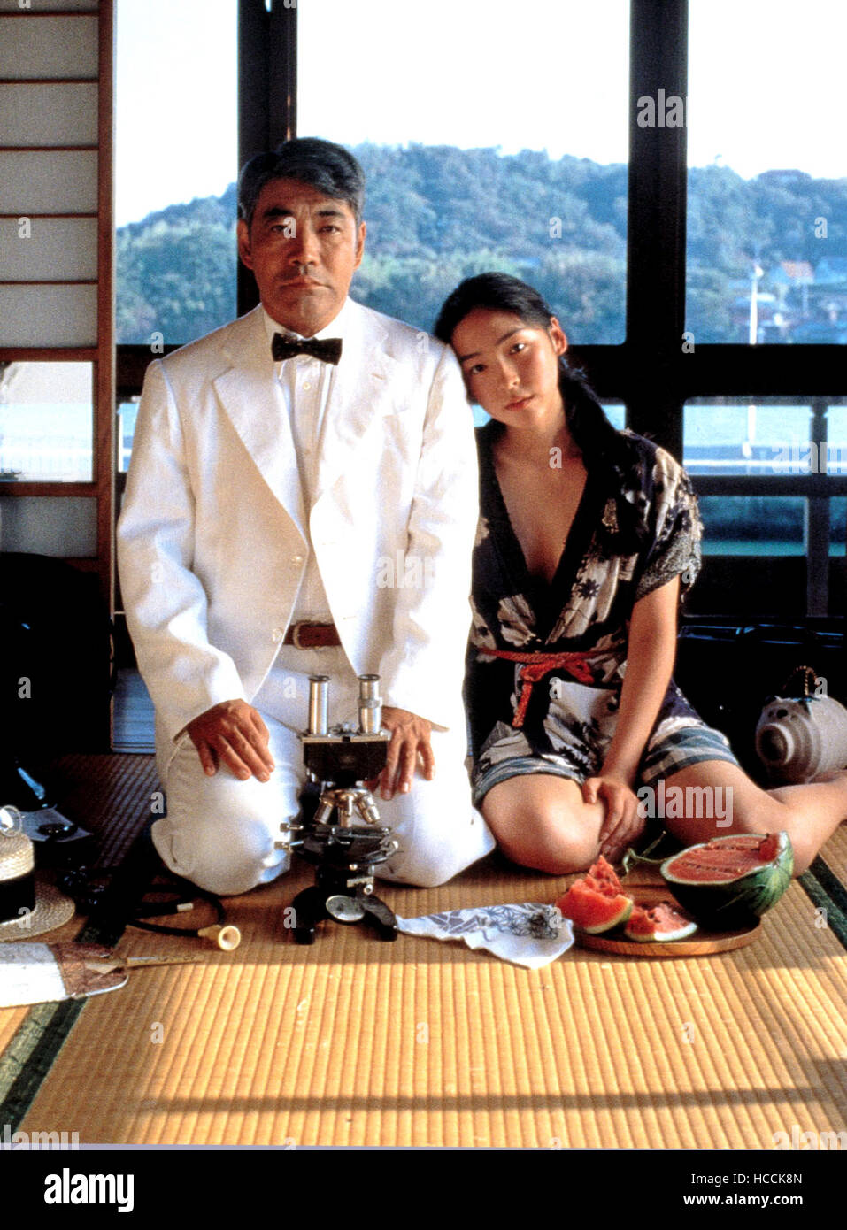 DR. AKAGI (KANZO SENSEI), Akira Emoto, Kumiko Aso, 1998 Stockfotografie - Alamy
