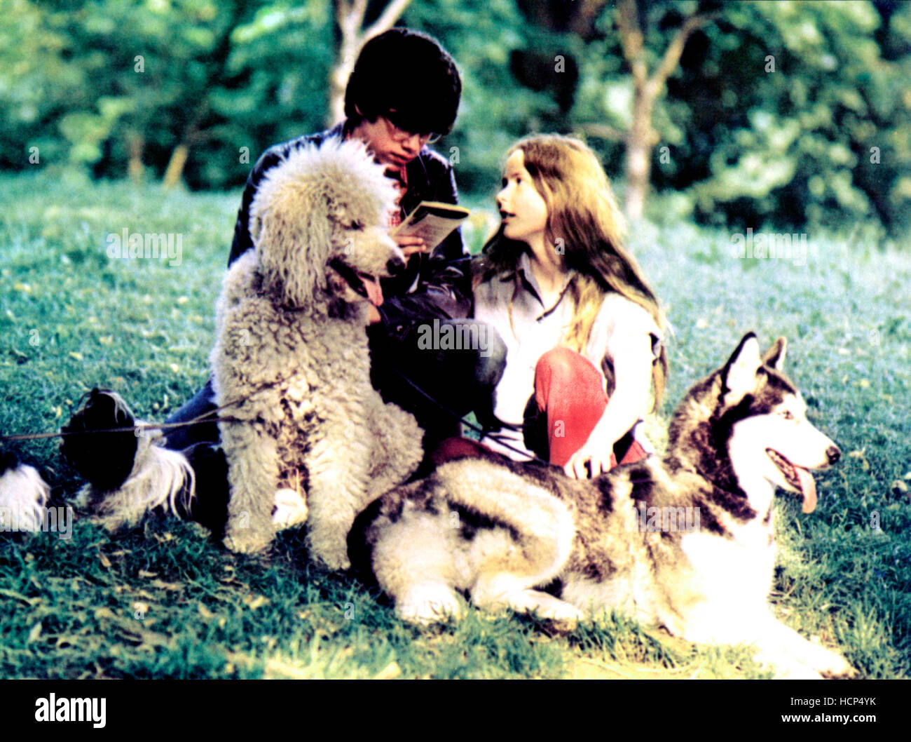 Glynnis oconnor -Fotos und -Bildmaterial in hoher Auflösung – Alamy