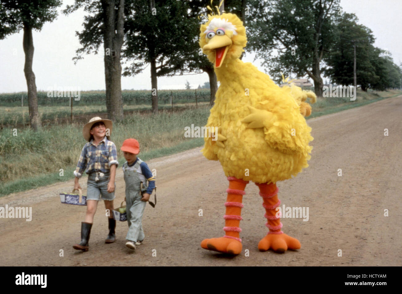 Folgen SIE diesem Vogel, (aka SESAMSTRAßE präsentiert folgen, die Vögel ...