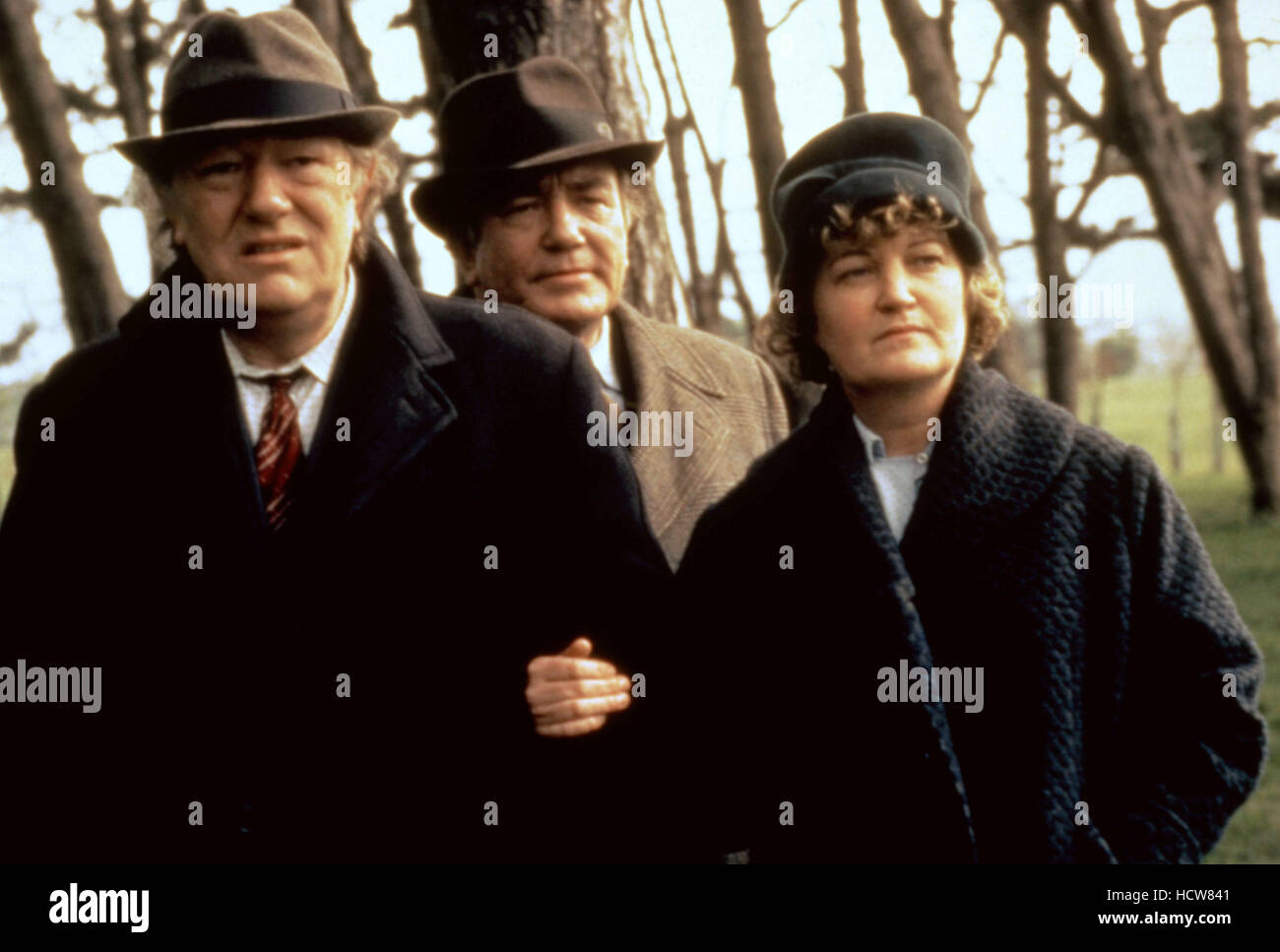 A MAN OF NO IMPORTANCE Michael Gambon, Albert Finney, Brenda Fricker ...