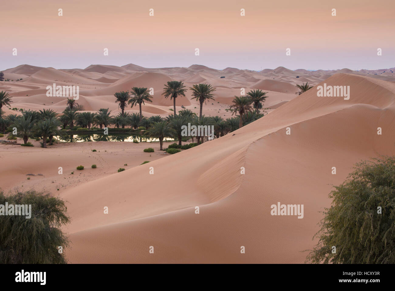 Remah Wüste, Al Ain, Abu Dhabi, Vereinigte Arabische Emirate, Naher ...