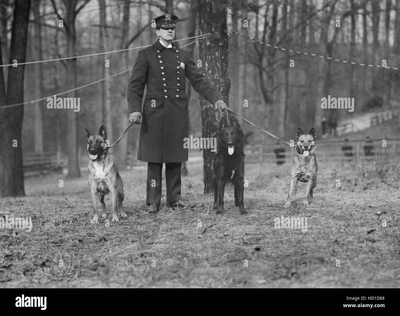 Historische polizeihunde -Fotos und -Bildmaterial in hoher Auflösung ...