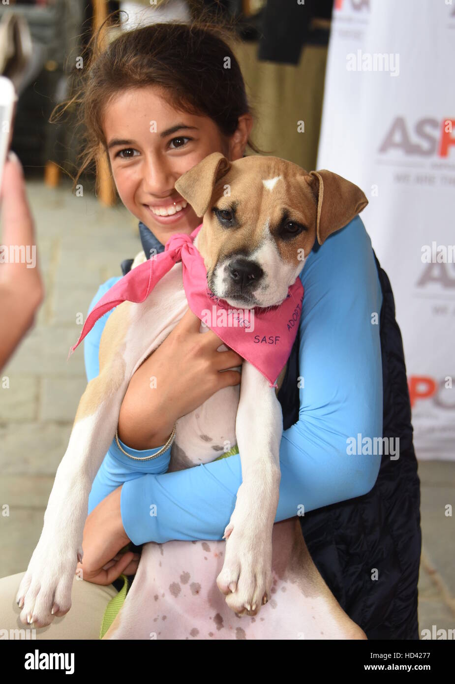 Matt Lauer und Familie annehmen ein Hundes aus der ASPCA während ...