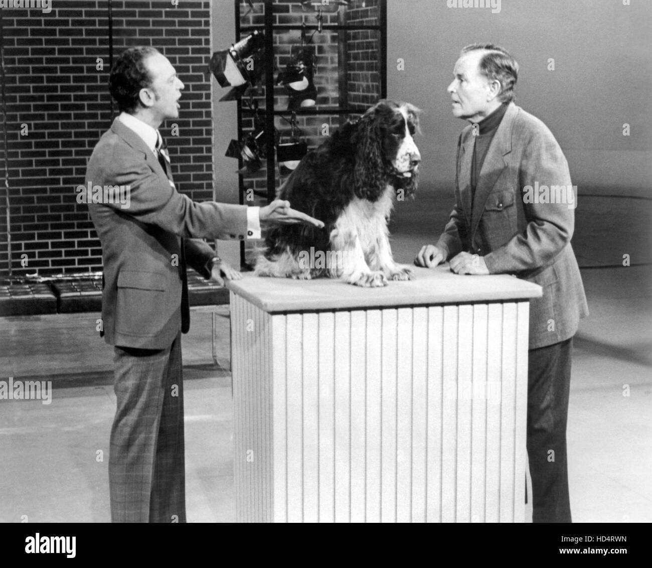 Die DON KNOTTS SHOW (v.l.): Don Knotts, "Louie der Wunder-Hund", Bob ...