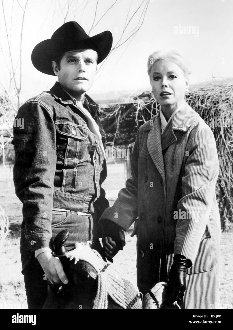 STONEY BURKE, Jack Lord, Kate Manx, "The Contender" (Staffel 1, 1. Oktober 1962 ausgestrahlt ...