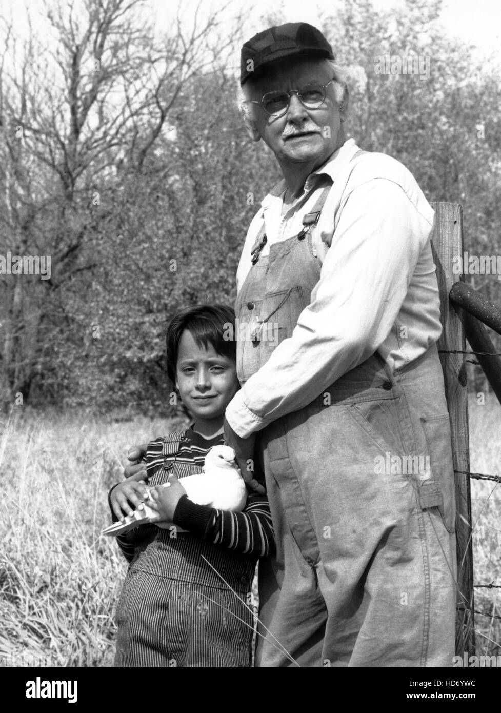 Wo Tauben gehen zu sterben, Robert Hy Gorman, Art Carney, 1990, (c ...