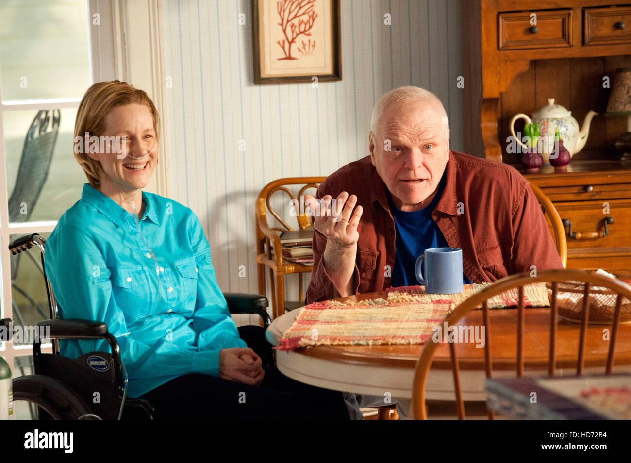 Laura linney stern -Fotos und -Bildmaterial in hoher Auflösung – Alamy
